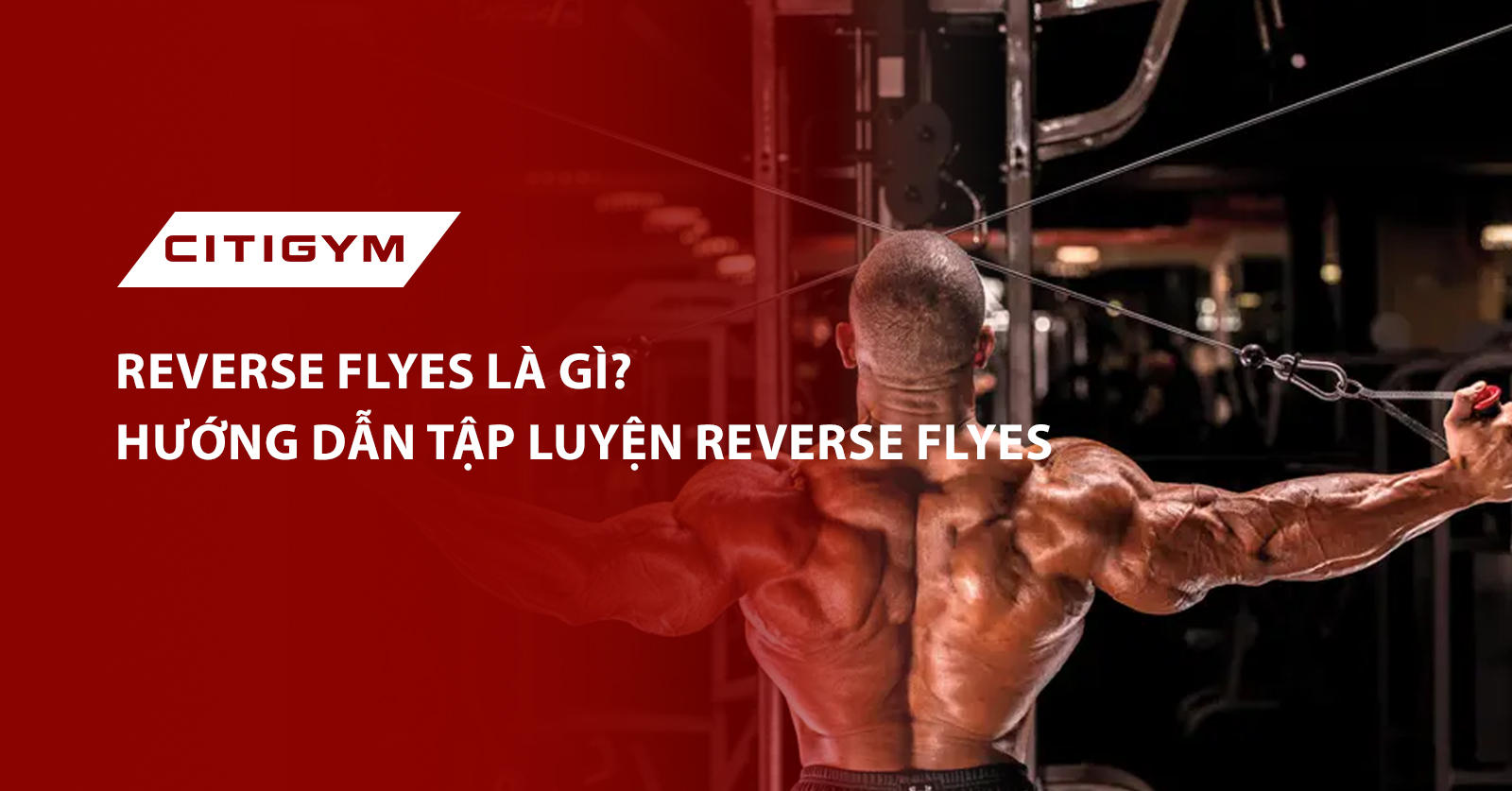 Reverse Flyes là gì? Hướng dẫn tập luyện Reverse Flyes