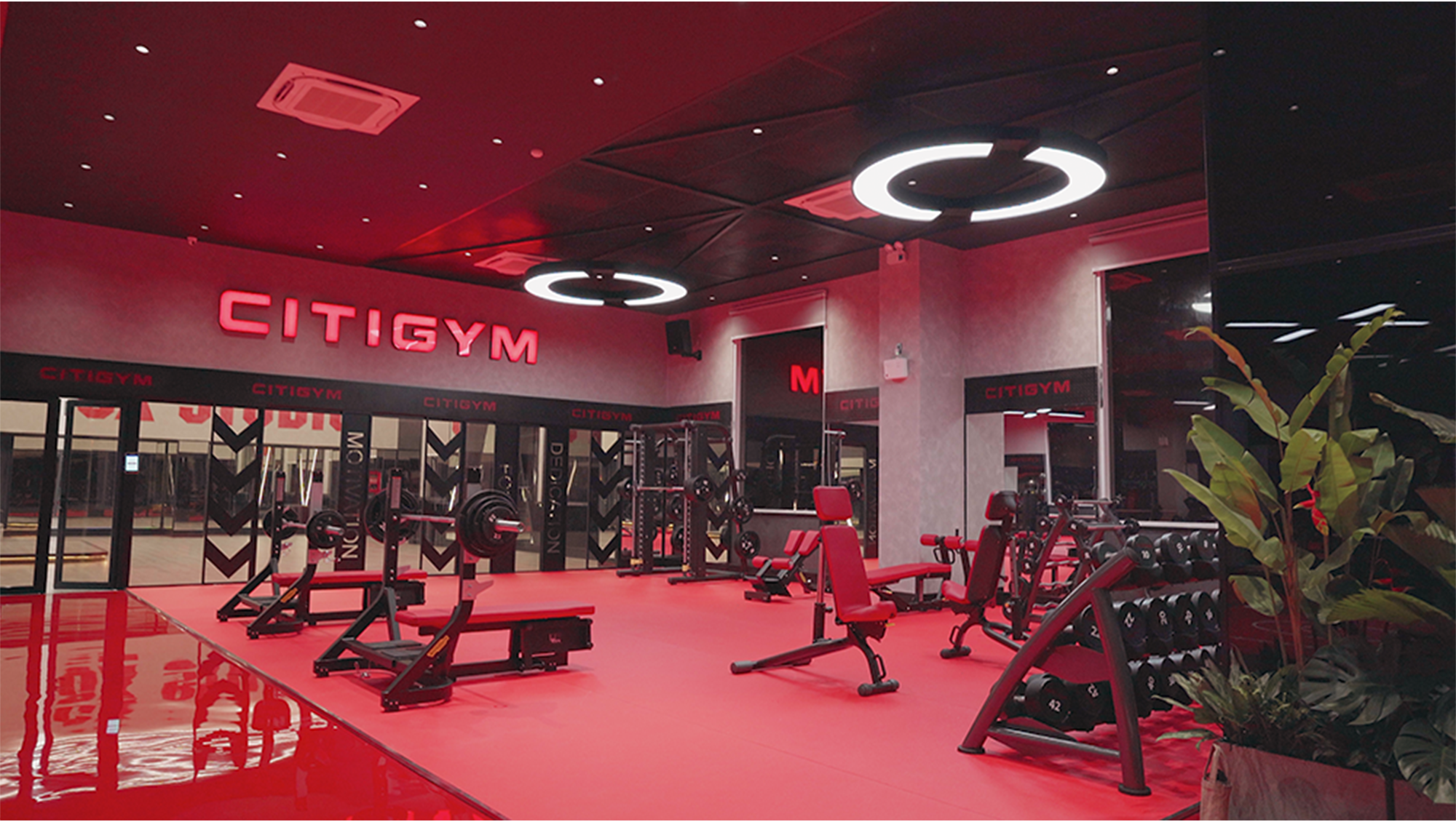 CITIGYM đồng hành tìm động lực tập gym cùng bạn, kiến tạo lối sống năng ...